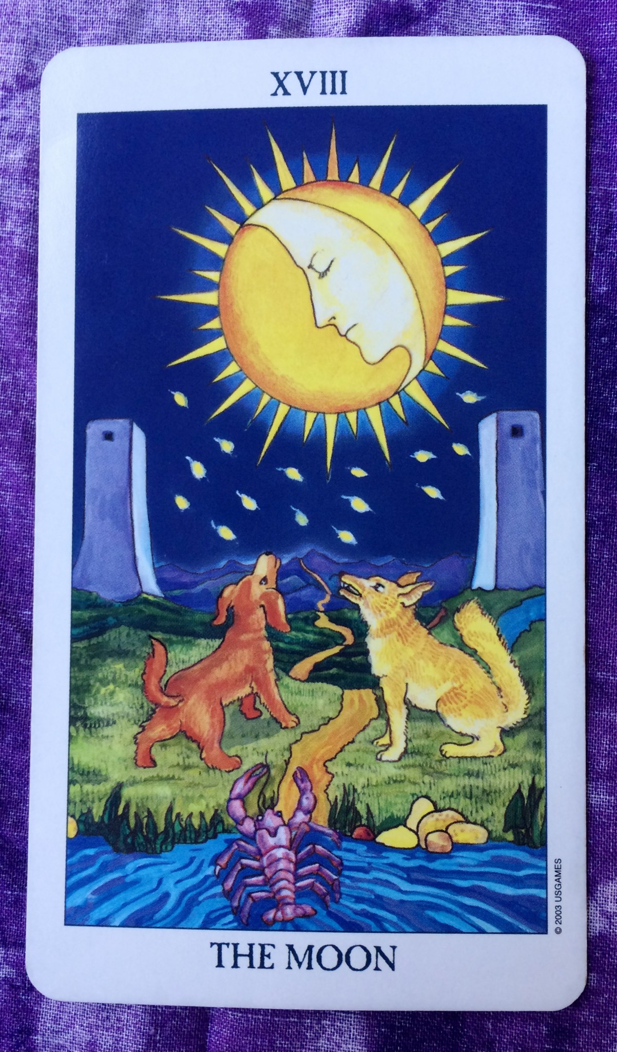 New Moon in Pisces — How To Work With The Energies – Ms. Joyce Tarot