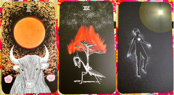 The Sacred Web Tarot: Review | Ms. Joyce Tarot