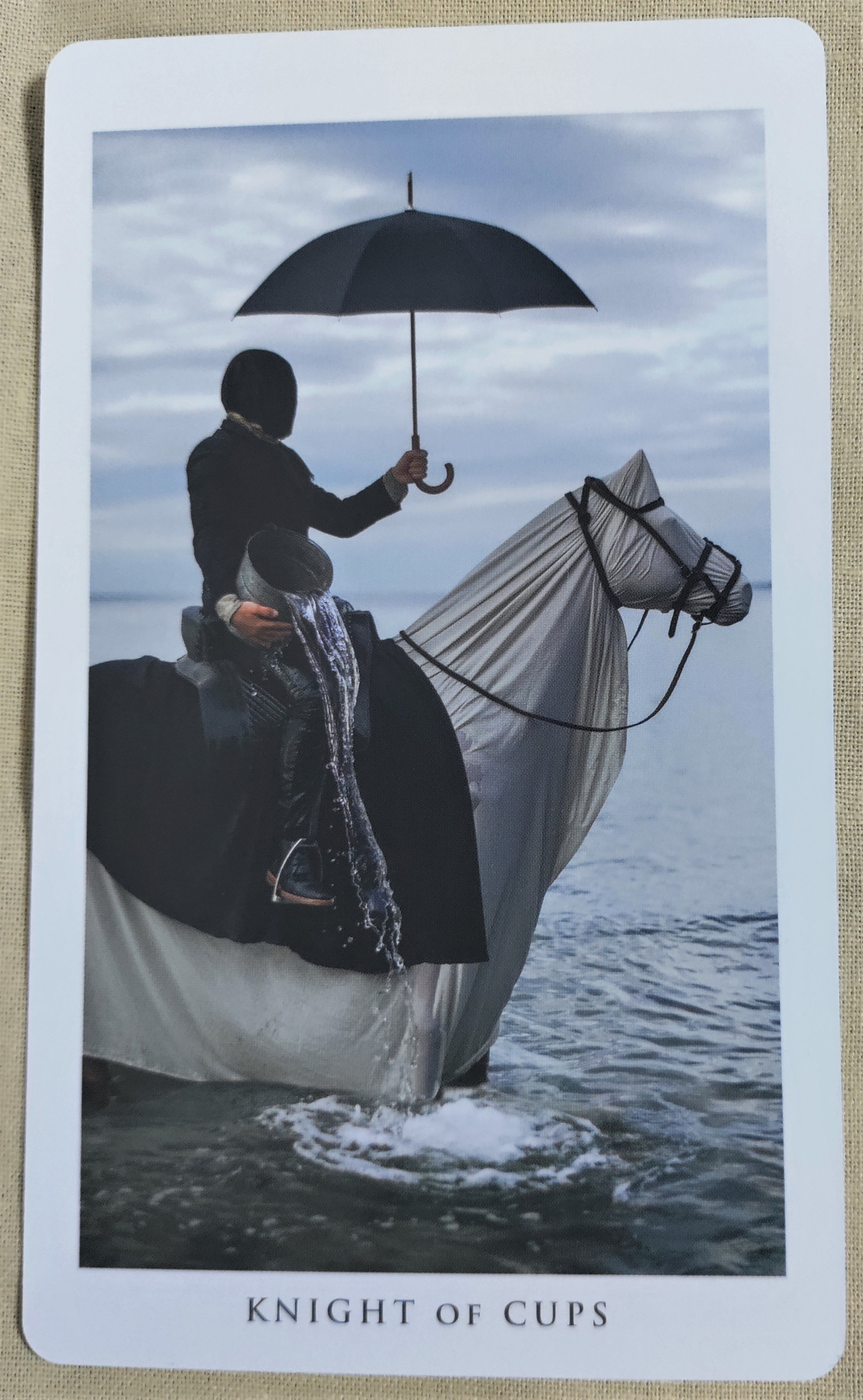 Tarot Card Meditation: Knight of Cups – Ms. Joyce Tarot